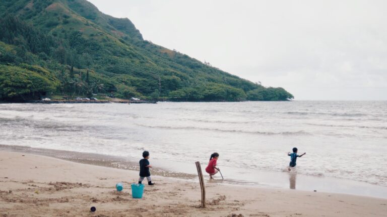 Case Study: The Filmmaking of False Alarm by Nick Lyell